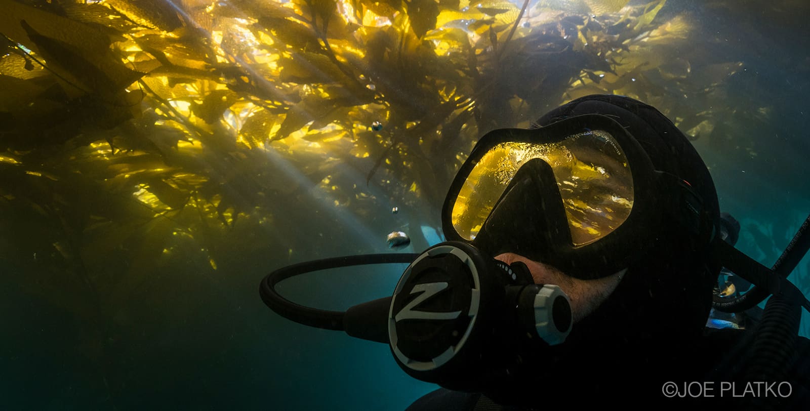 Diving/Lodging - The Monterey Shootout - a 36 hour photo and video ...